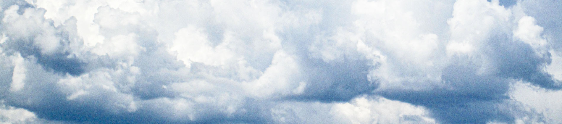 Pictures in the Rain - FlynnGraphics